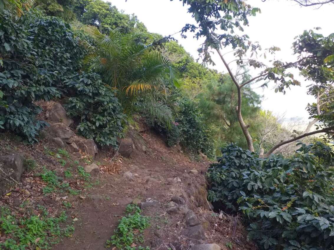 Volcán Chingo, Chalchuapa, Santa Ana, El Salvador | Turismo en El Salvador.