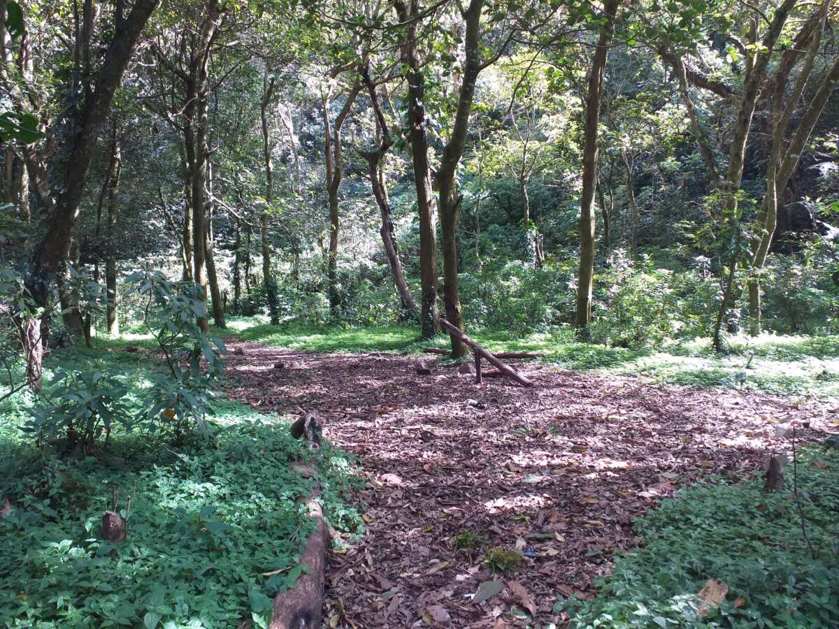 Volcán Chingo, Chalchuapa, Santa Ana, El Salvador | Turismo en El Salvador.