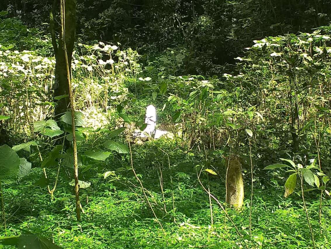 Volcán Chingo, Chalchuapa, Santa Ana, El Salvador | Turismo en El Salvador.